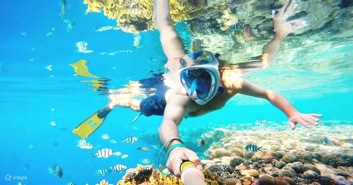 探索水下奇观：赫尔格达 3 个浮潜点的私人快艇之旅 Klook客路